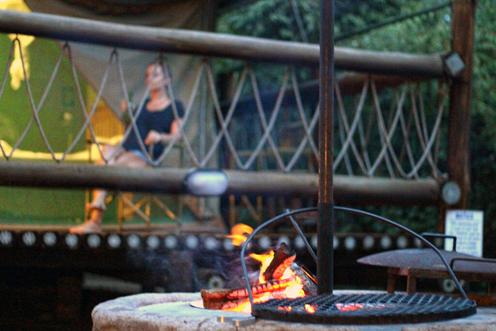 Safari en Afrique du Sud: Guide complet pour visiter le parc Kruger