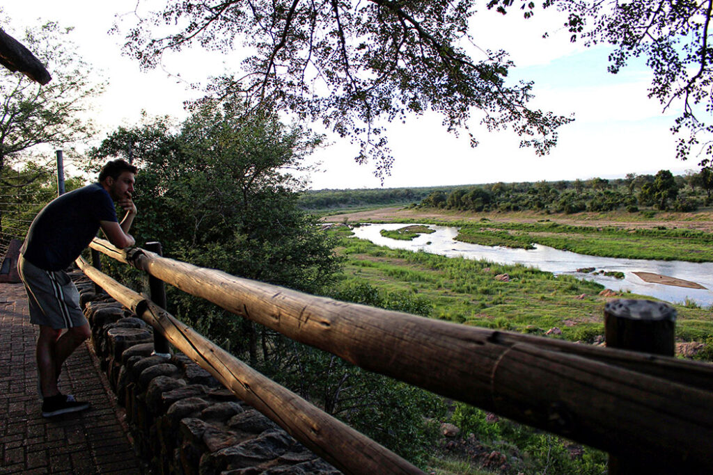 Safari en Afrique du Sud: Guide complet pour visiter le parc Kruger